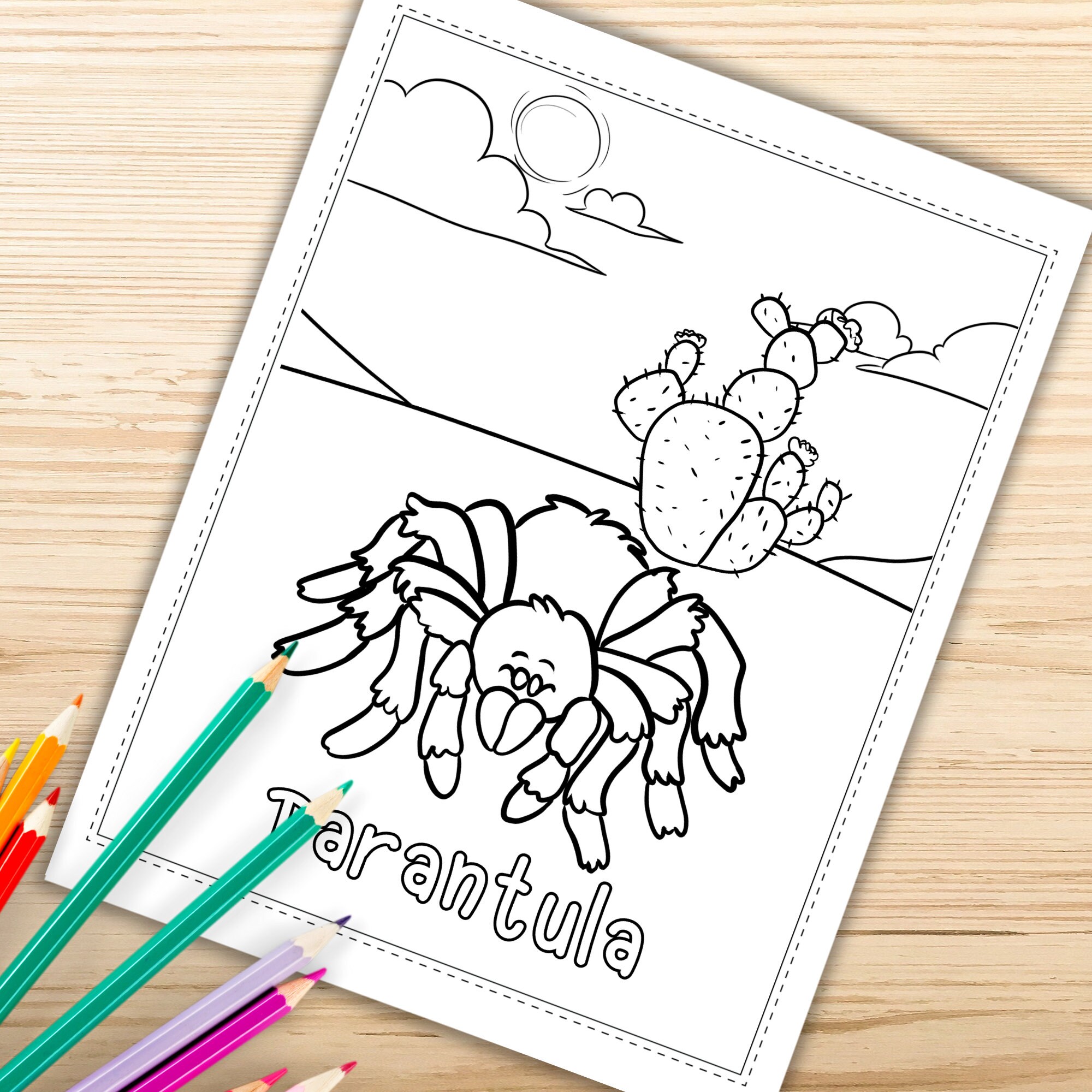 Desert Animals Coloring Pages Printable Animal Coloring - Etsy