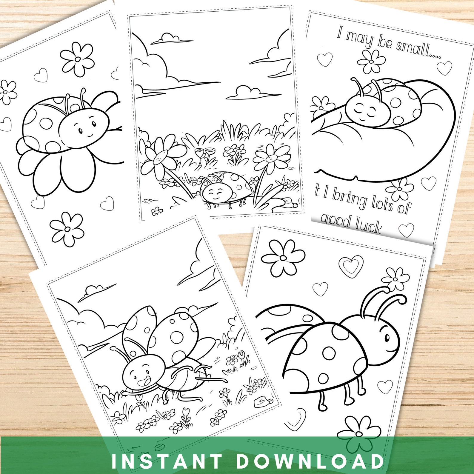Ladybug Coloring Pages Ladybug Printable Coloring Pages for - Etsy