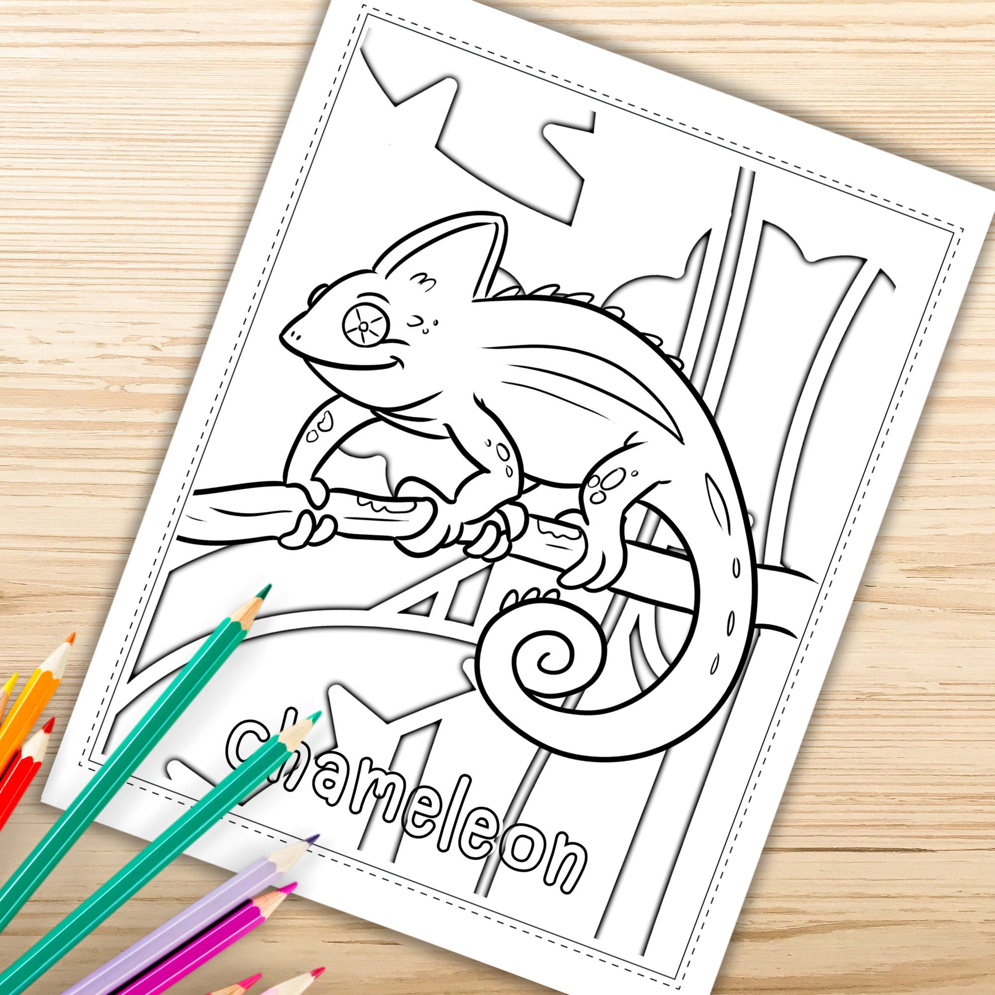 Rainforest Animals Coloring Pages Printable Animal Coloring | Etsy
