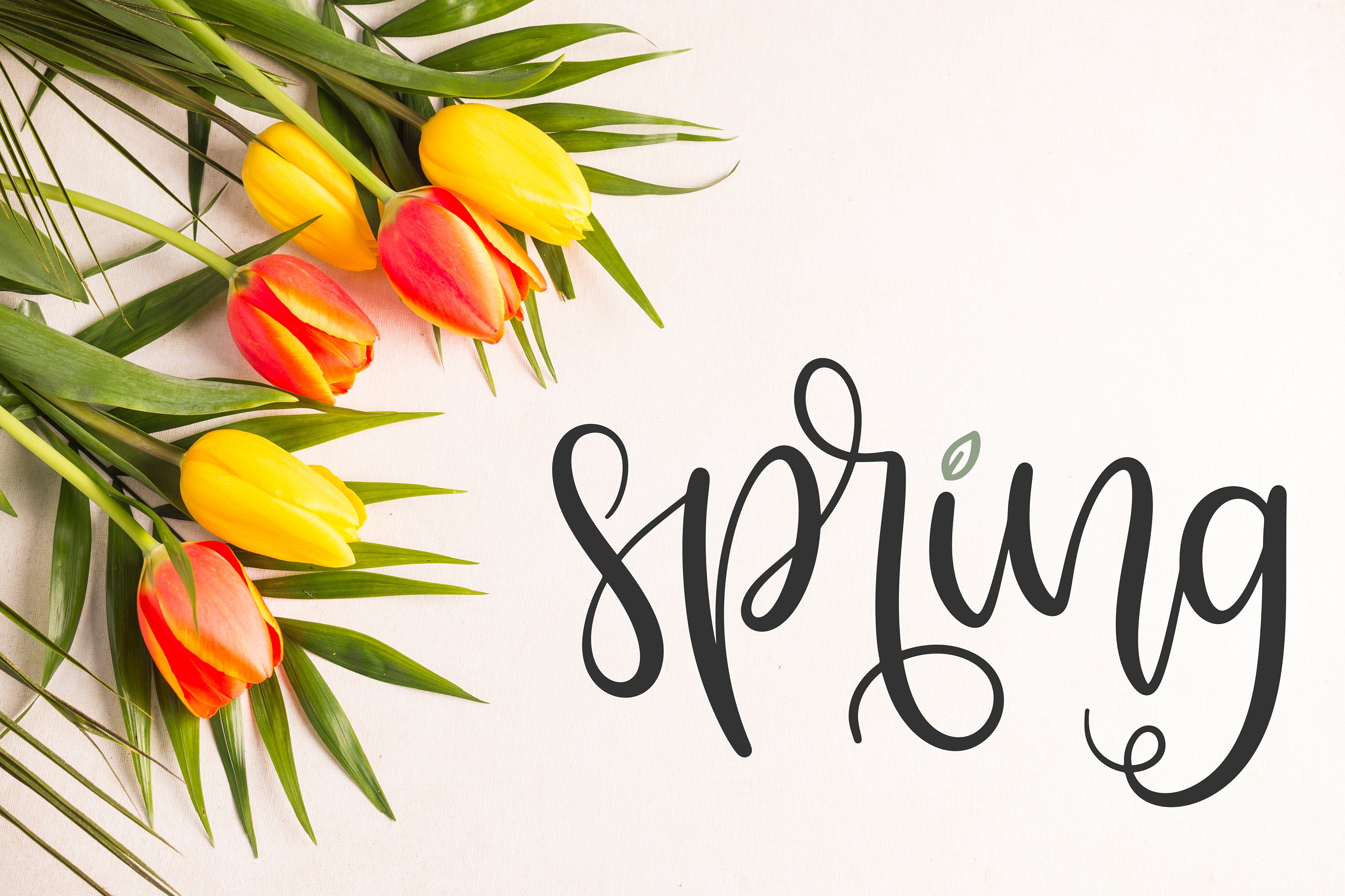 Spring Svg Spring Bundle Svg Hello Spring Svg Spring Design | Etsy