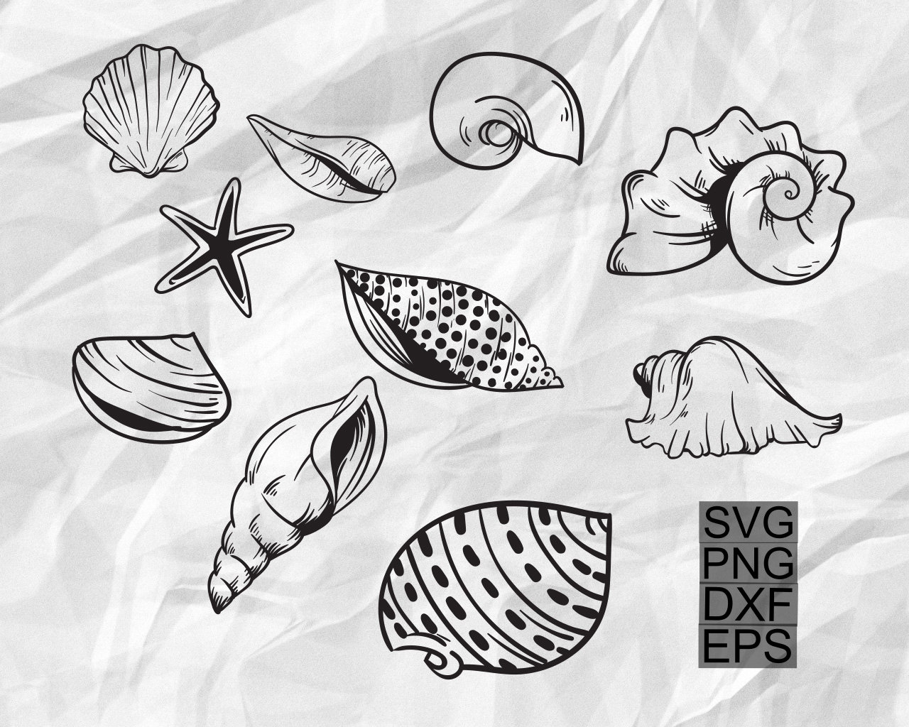 Seashell Bundle Svg Seashell Silhouette Mermaid Shell Svg | Etsy