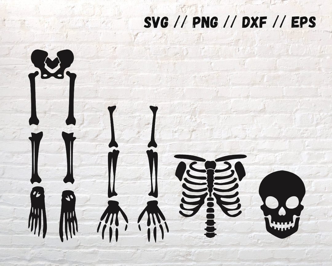Skeleton Parts Svg, Skeleton Bundle Svg, Skeleton Parts Png, Skeleton ...