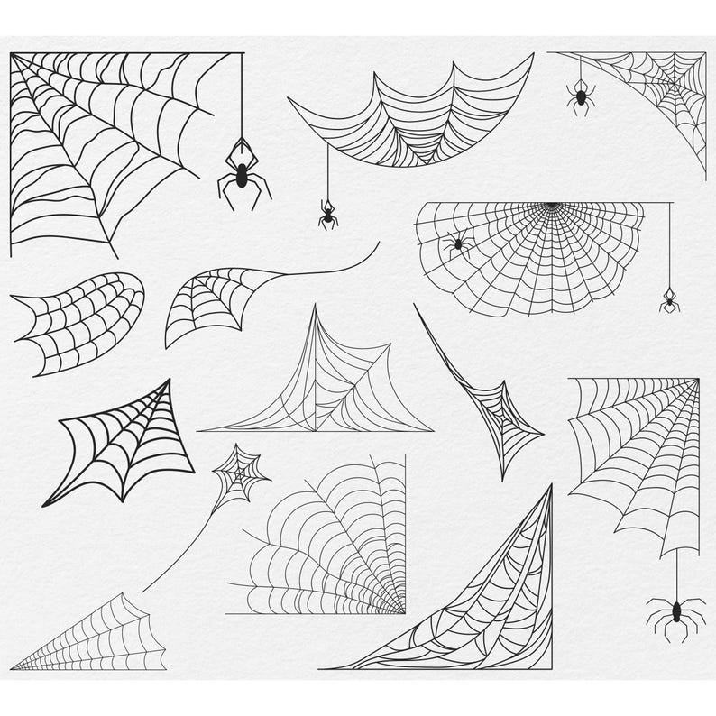 50+ Spiders and Spider Web Svg, Spider Web Halloween Decorations ...