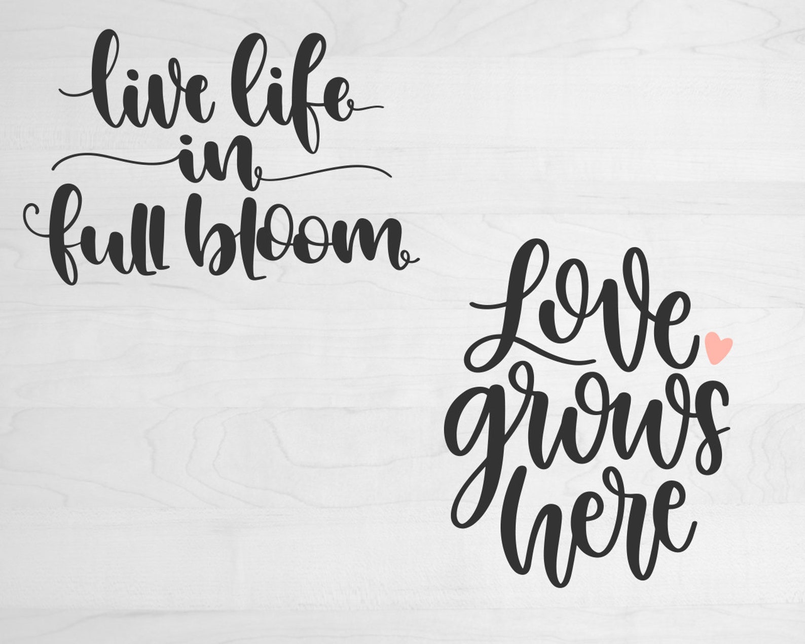 Spring Svg Spring Bundle Svg Hello Spring Svg Spring Design Etsy