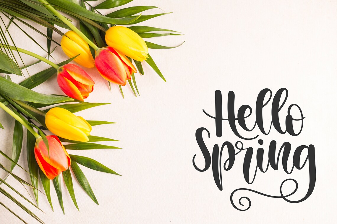 Spring Svg Spring Svg Bundle Hello Spring Svg Spring Design - Etsy