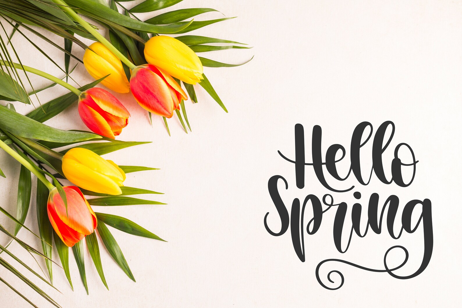 Spring Svg Spring Bundle Svg Hello Spring Svg Spring Design | Etsy