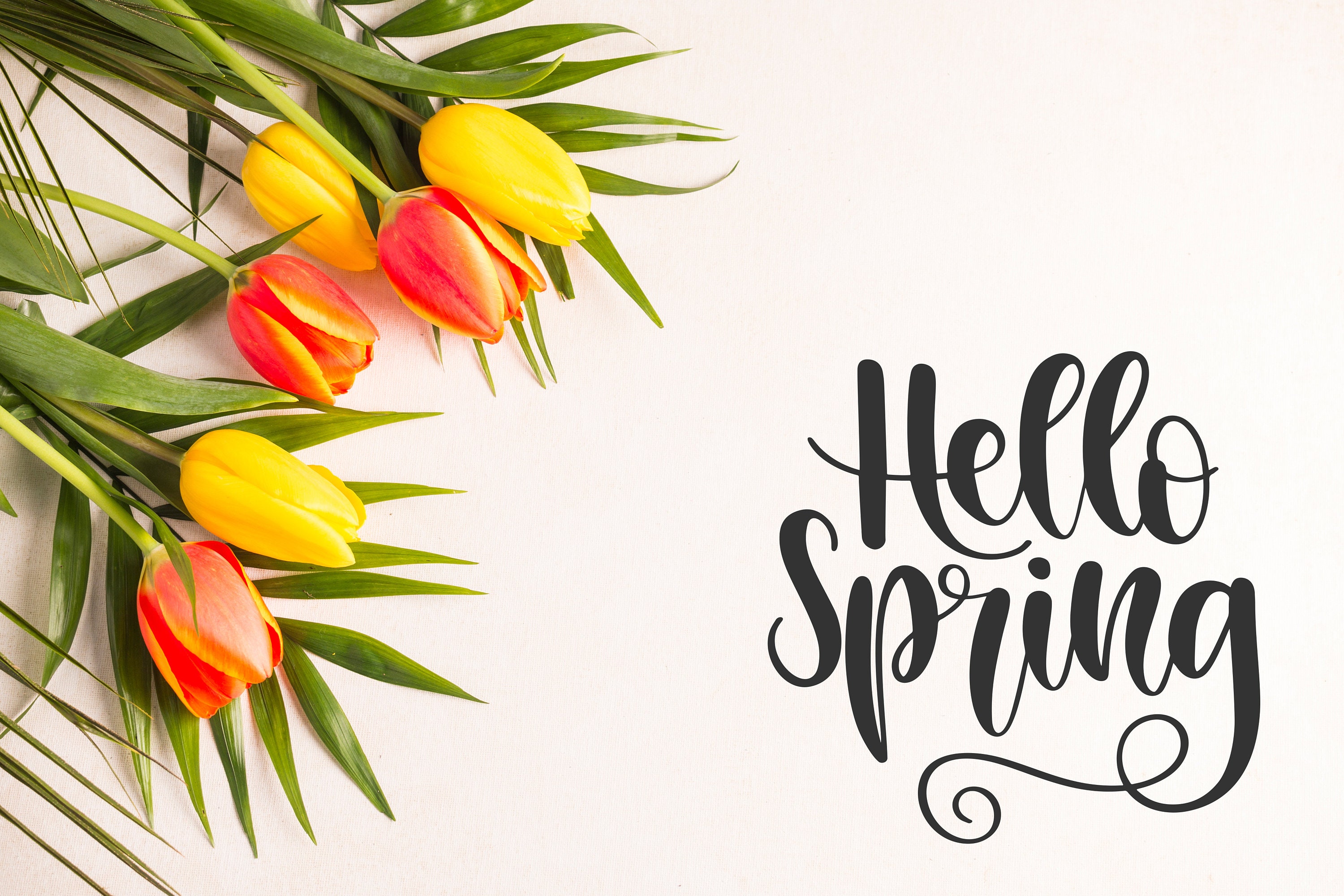 Spring Svg Spring Bundle Svg Hello Spring Svg Spring Design | Etsy