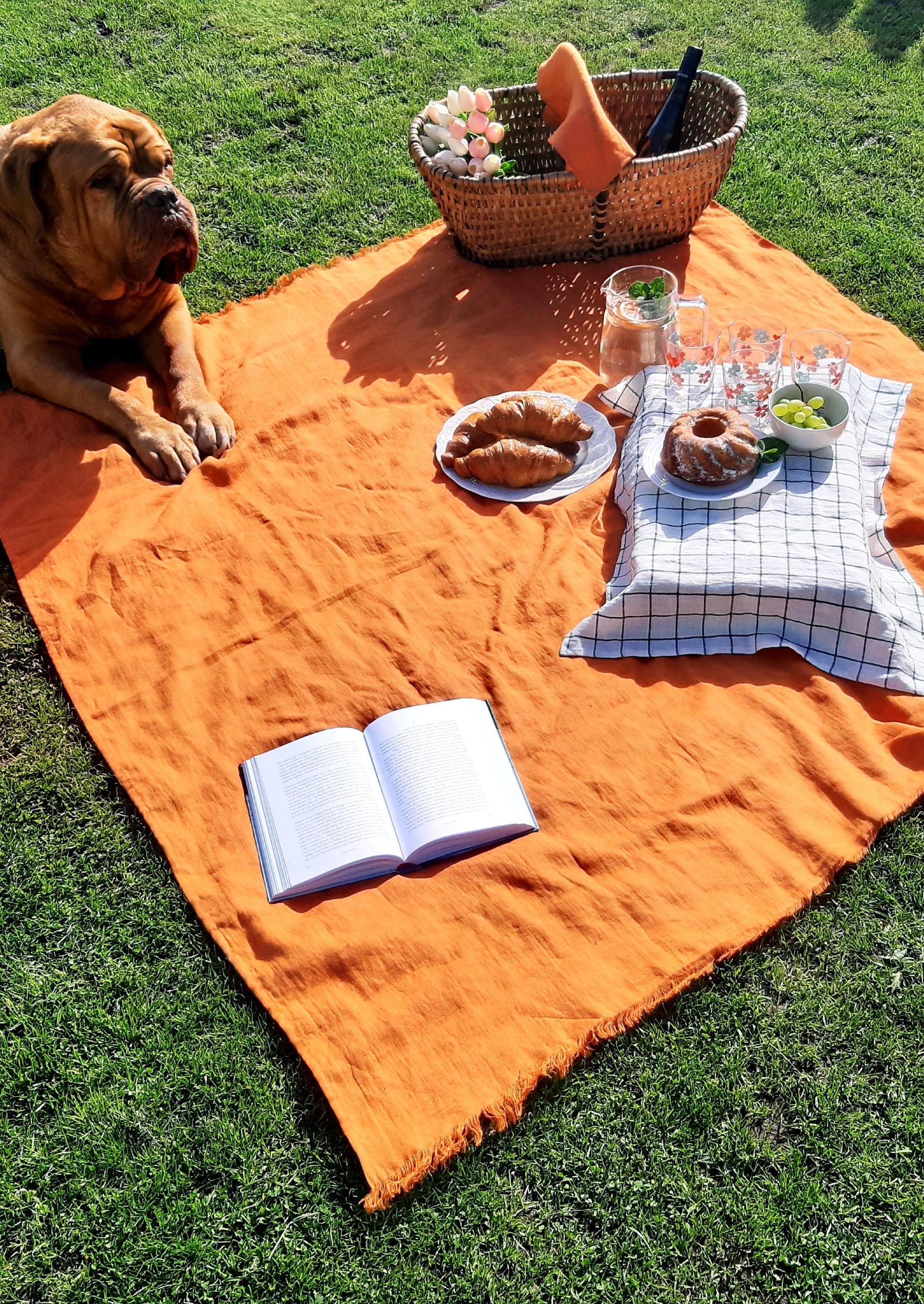 3 metre picnic blanket store