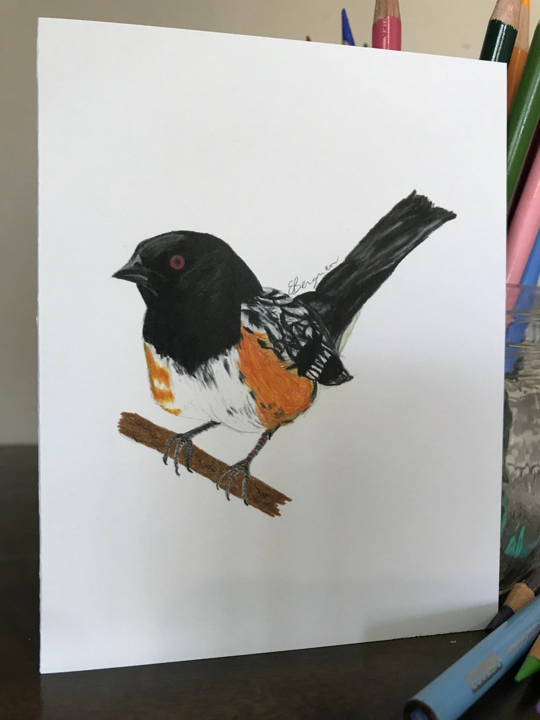 Spotted Towhee Bird Art Card, Wildland Nature Card - Etsy