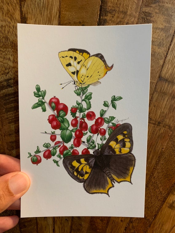 Hermes Copper Postcard Hermes Copper Butterfly Yellow - Etsy