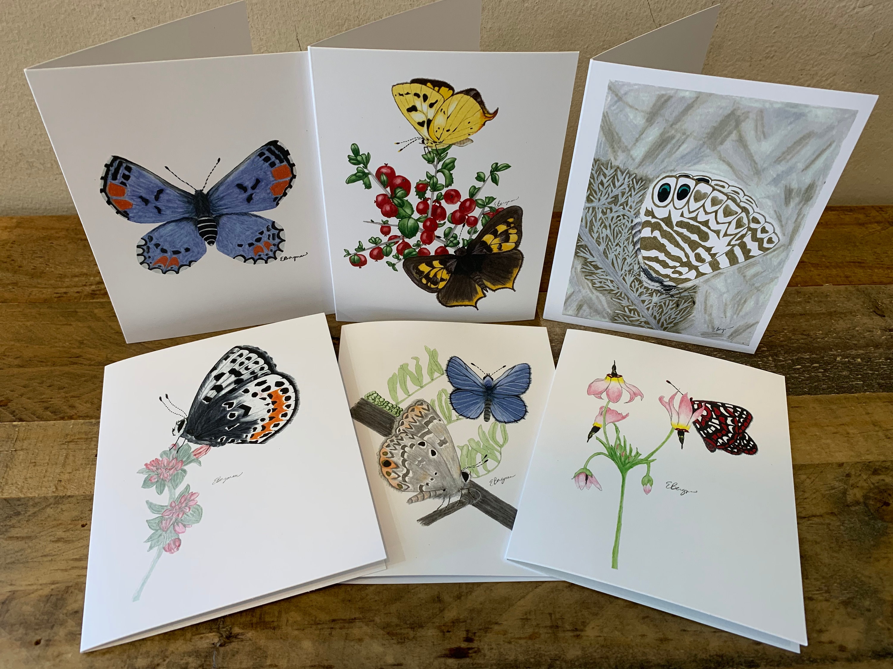Butterfly Card Set, Butterfly Set, Card Set, Wildlife Card Set ...