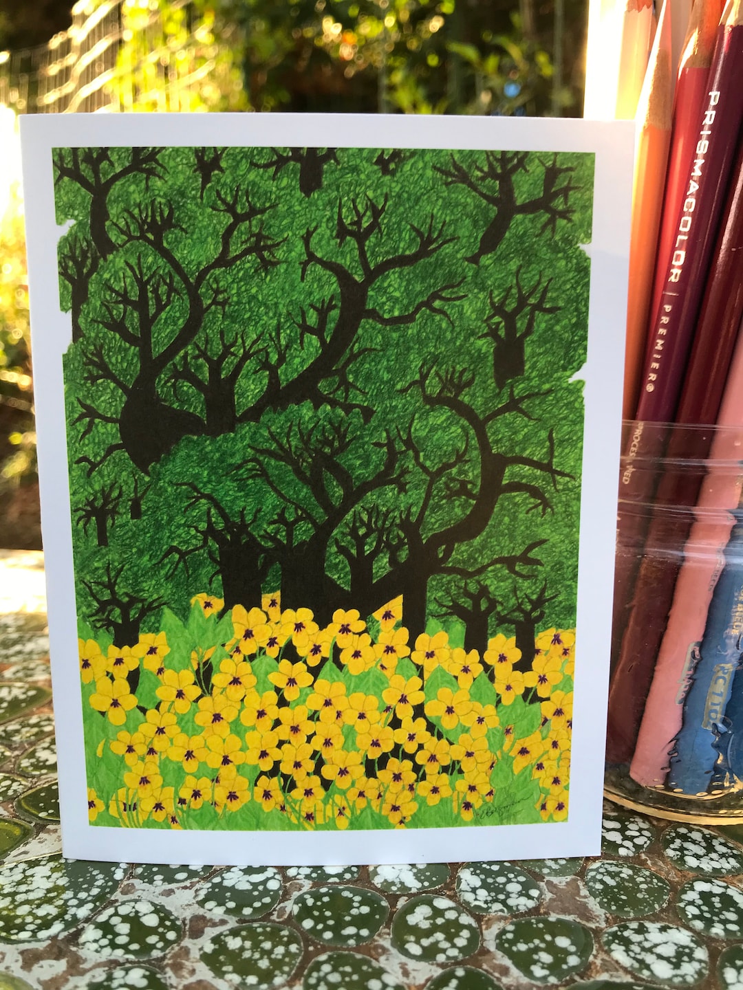 Forest, Oak Woodlands, Florest Floor, Nature Card, Forest Card, Violet ...