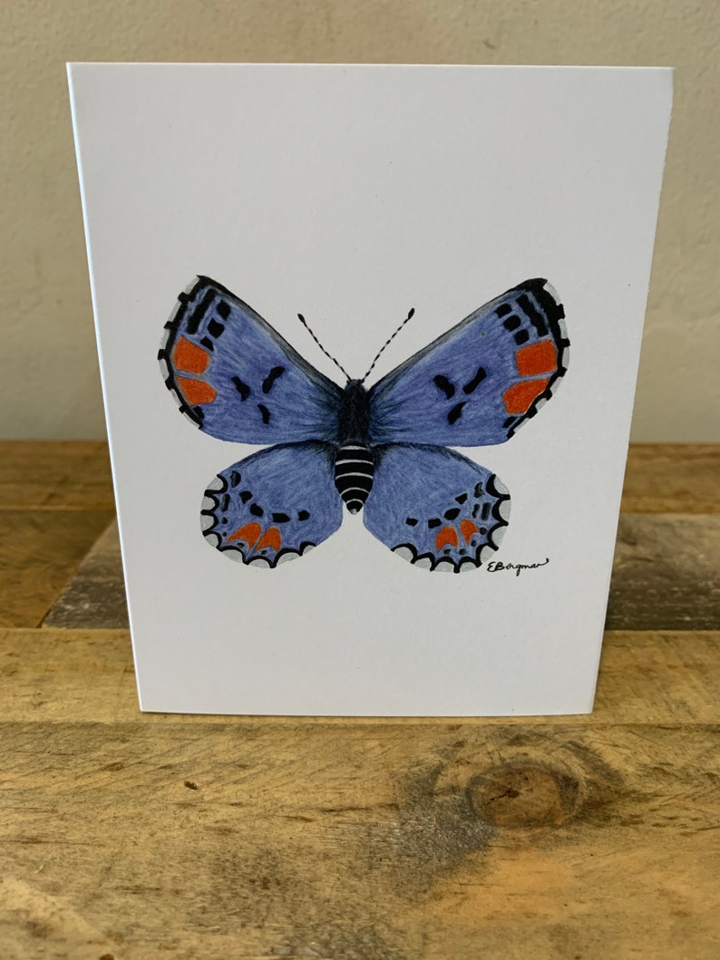Butterfly card art butterfly card set butterfly set | Etsy