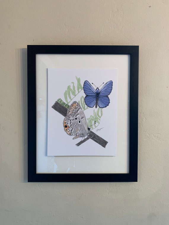 Blue Butterfly Print Blue Butterfly Poster Blue Butterfly | Etsy