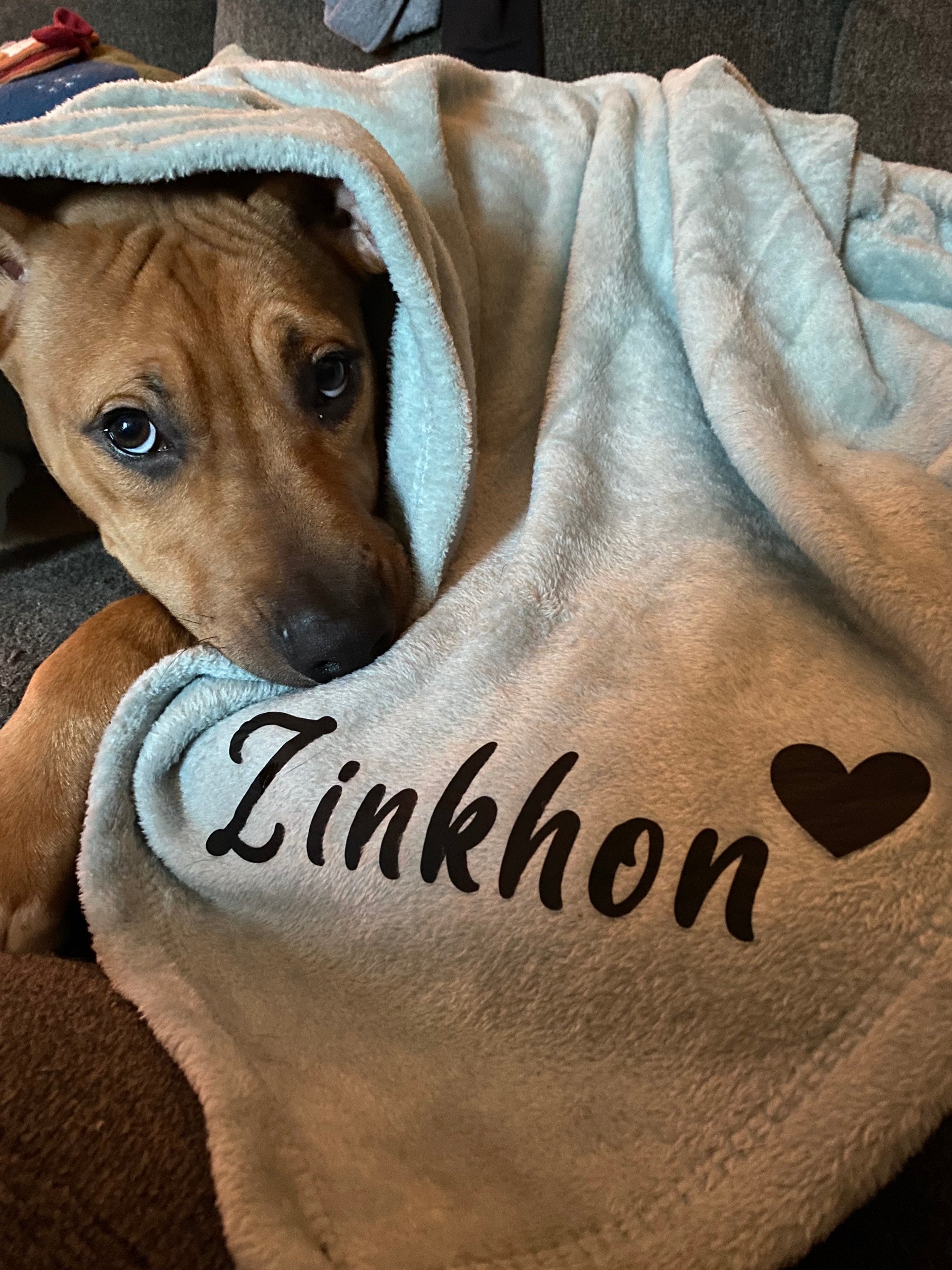 Custom Throw Blanket Personalized Blanket Vinyl or - Etsy