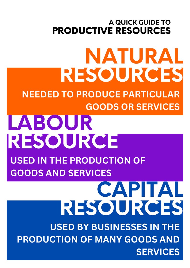 VCE Business Management Classroom Displays - Etsy