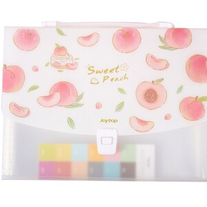 Cute Pink Peach File Folder 13 Pocket Folder Decorative Document Keeper ...