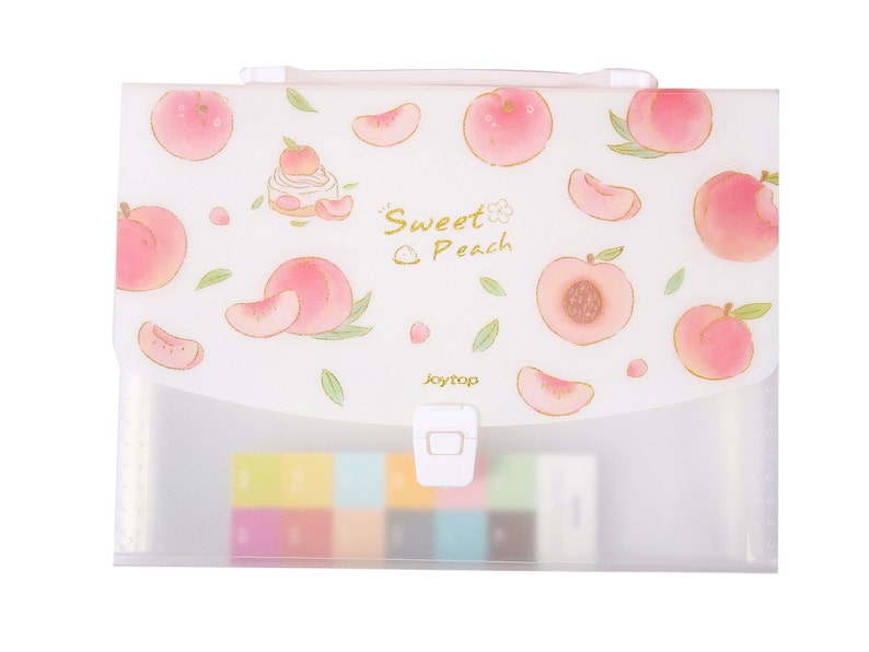 Cute Pink Peach File Folder 13 Pocket Folder Decorative - Etsy