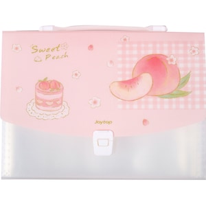 Cute Pink Peach File Folder 13 Pocket Folder Decorative Document Keeper ...