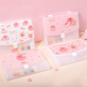 Cute Pink Peach File Folder 13 Pocket Folder Decorative Document Keeper ...