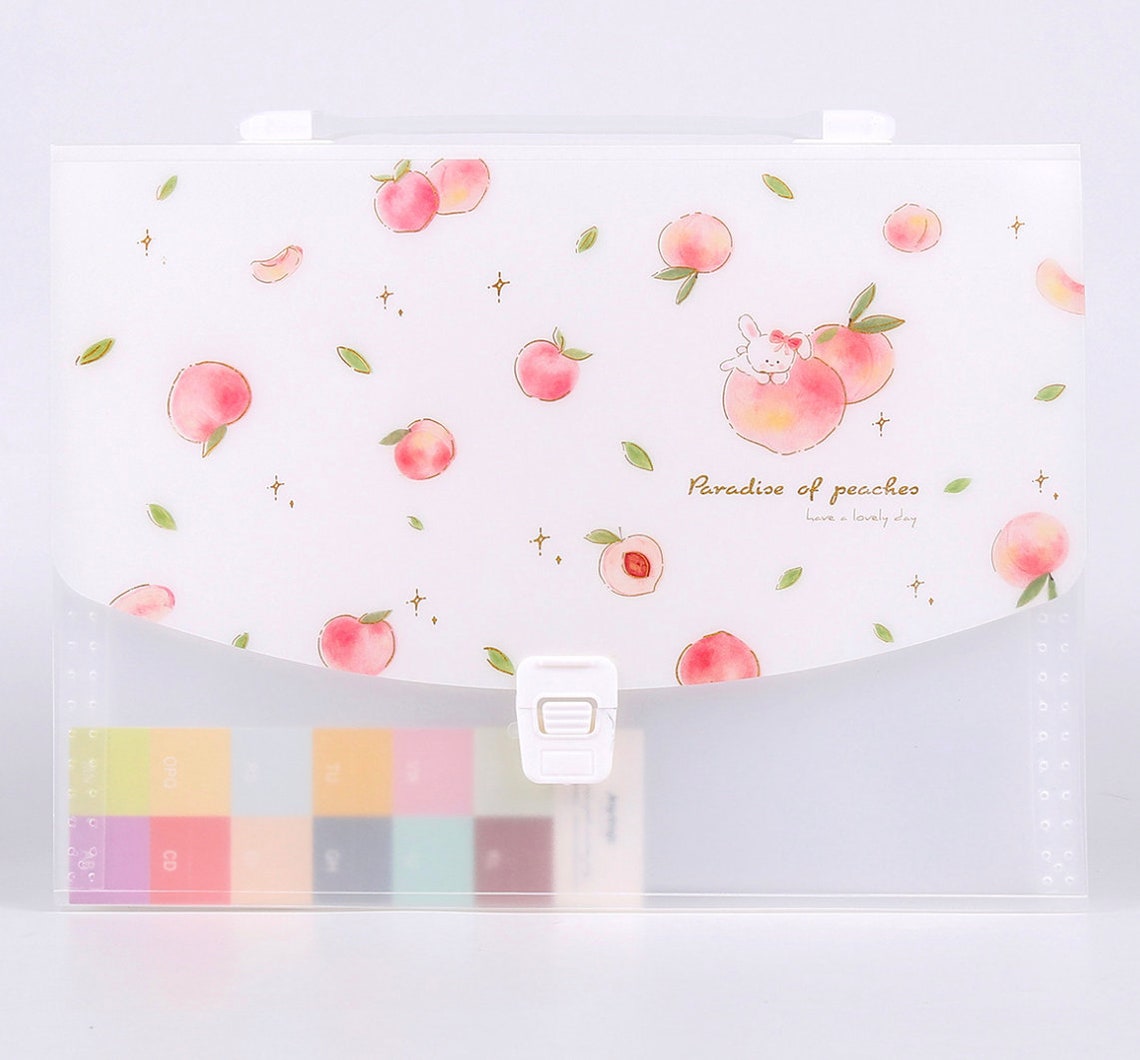 Cute Pink Peach File Folder 13 Pocket Folder Decorative | Etsy