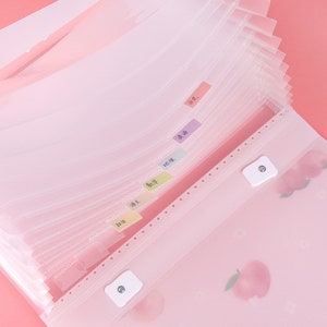 Cute Pink Peach File Folder 13 Pocket Folder Decorative Document Keeper ...