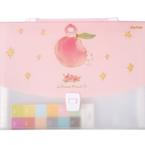 Cute Pink Peach File Folder 13 Pocket Folder Decorative Document Keeper ...