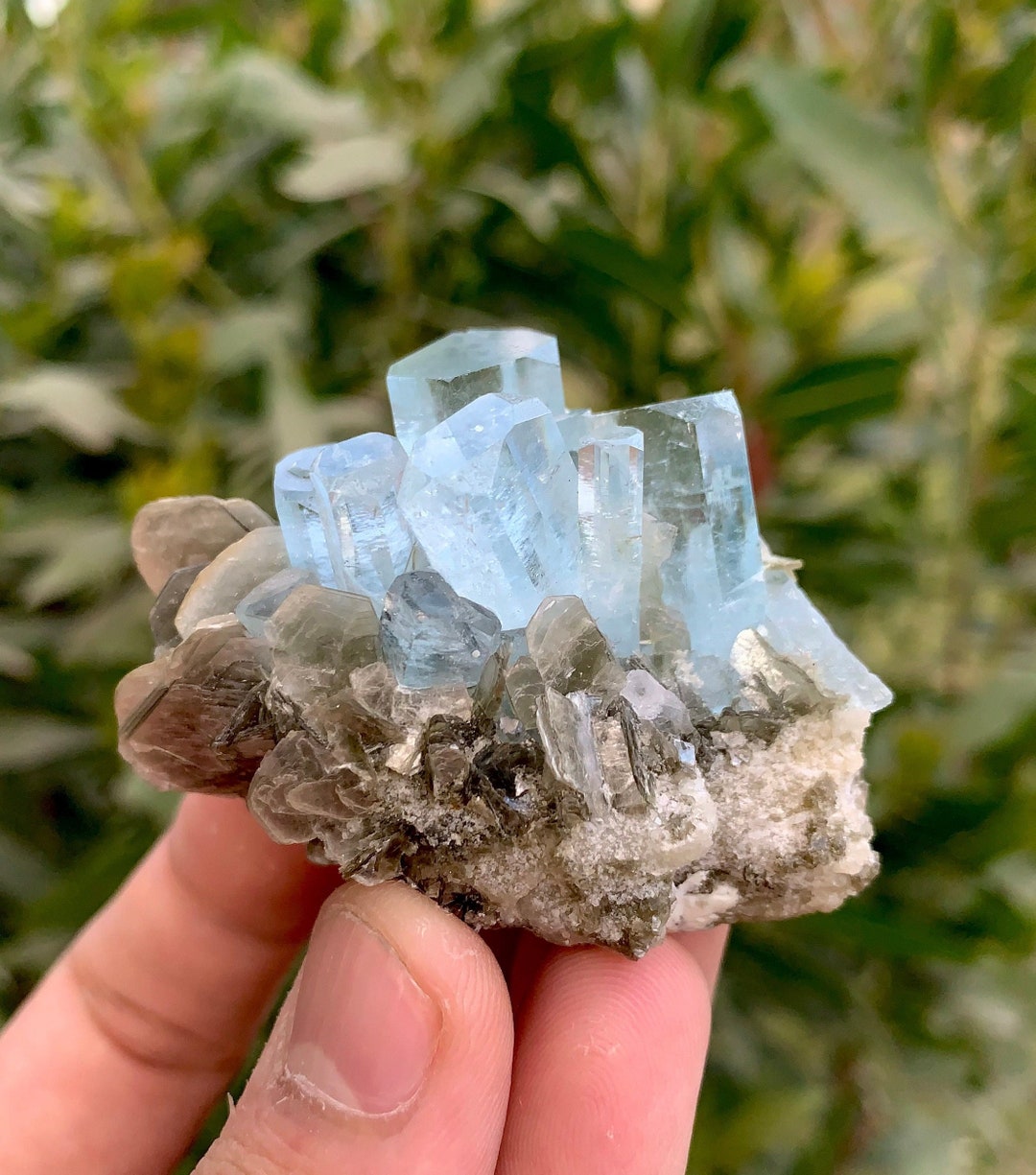 Terminated Aquamarine Crystals Bunch With Mascovite Specimen ...