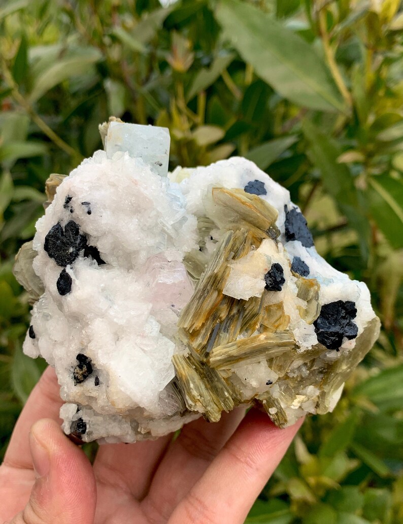 Aqua Morganite Beryl Crystals With Black Tourmalines , Cleavandite and ...