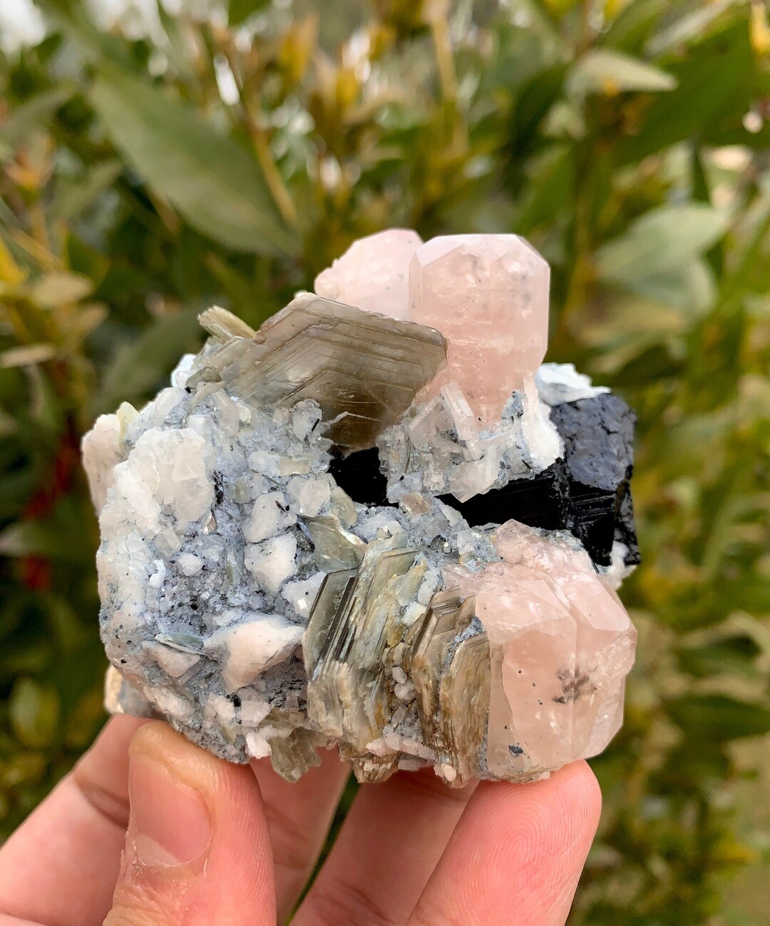 Terminated Pink Morganite Crystals With Black Tourmaline and Mica ...