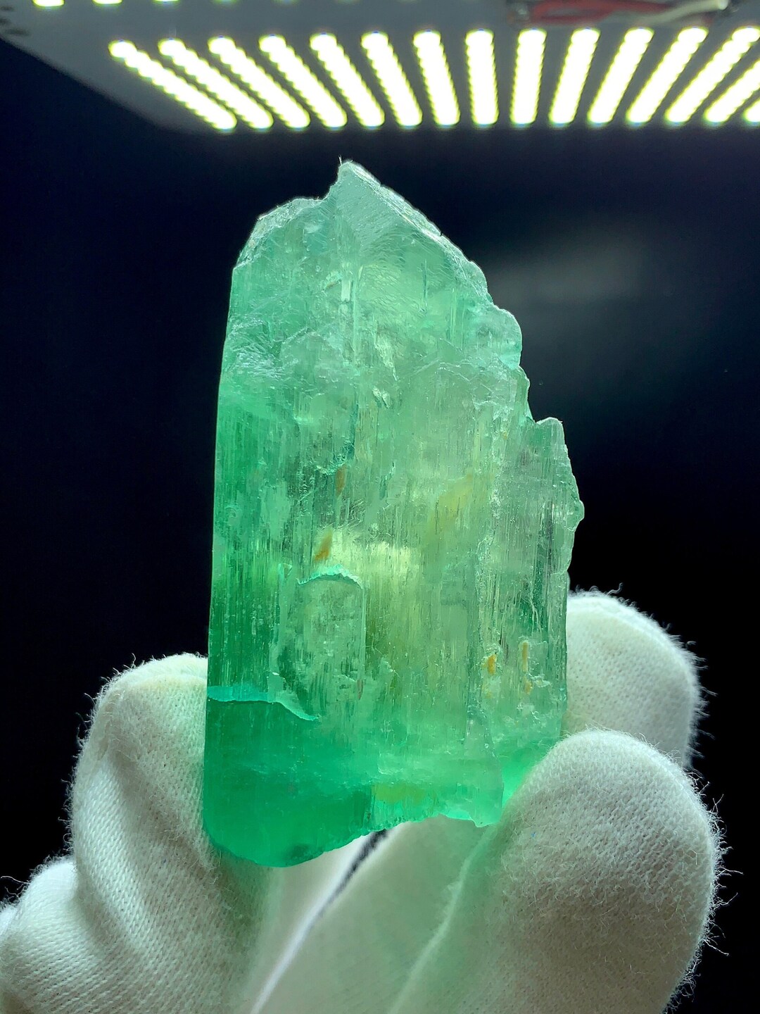 Etched Terminated Grass Green Kunzite Crystal , Kunite Specimen ...