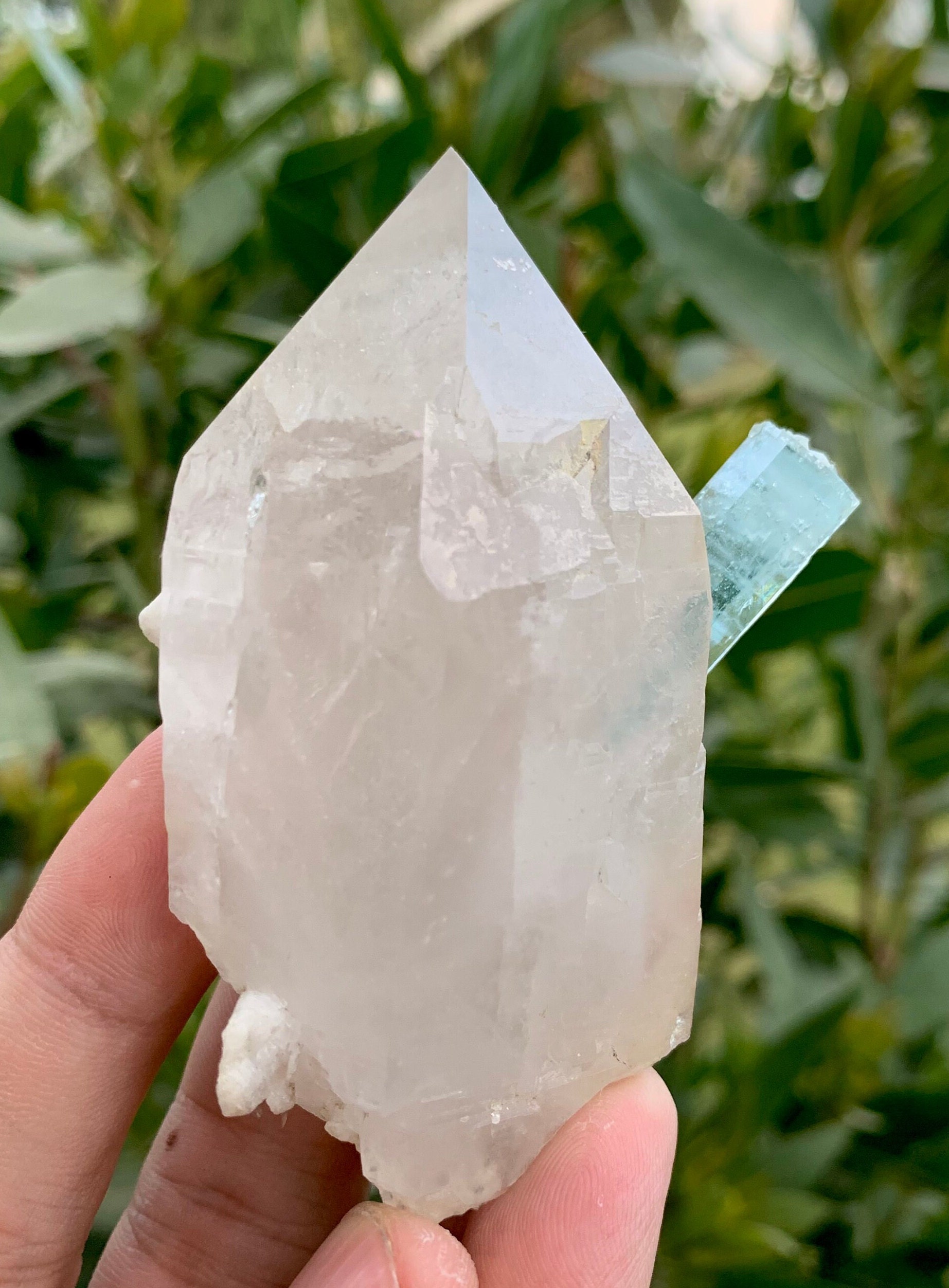 Terminated Quartz With Sky Blue Aquamarine Crystal Attached Specimen ...