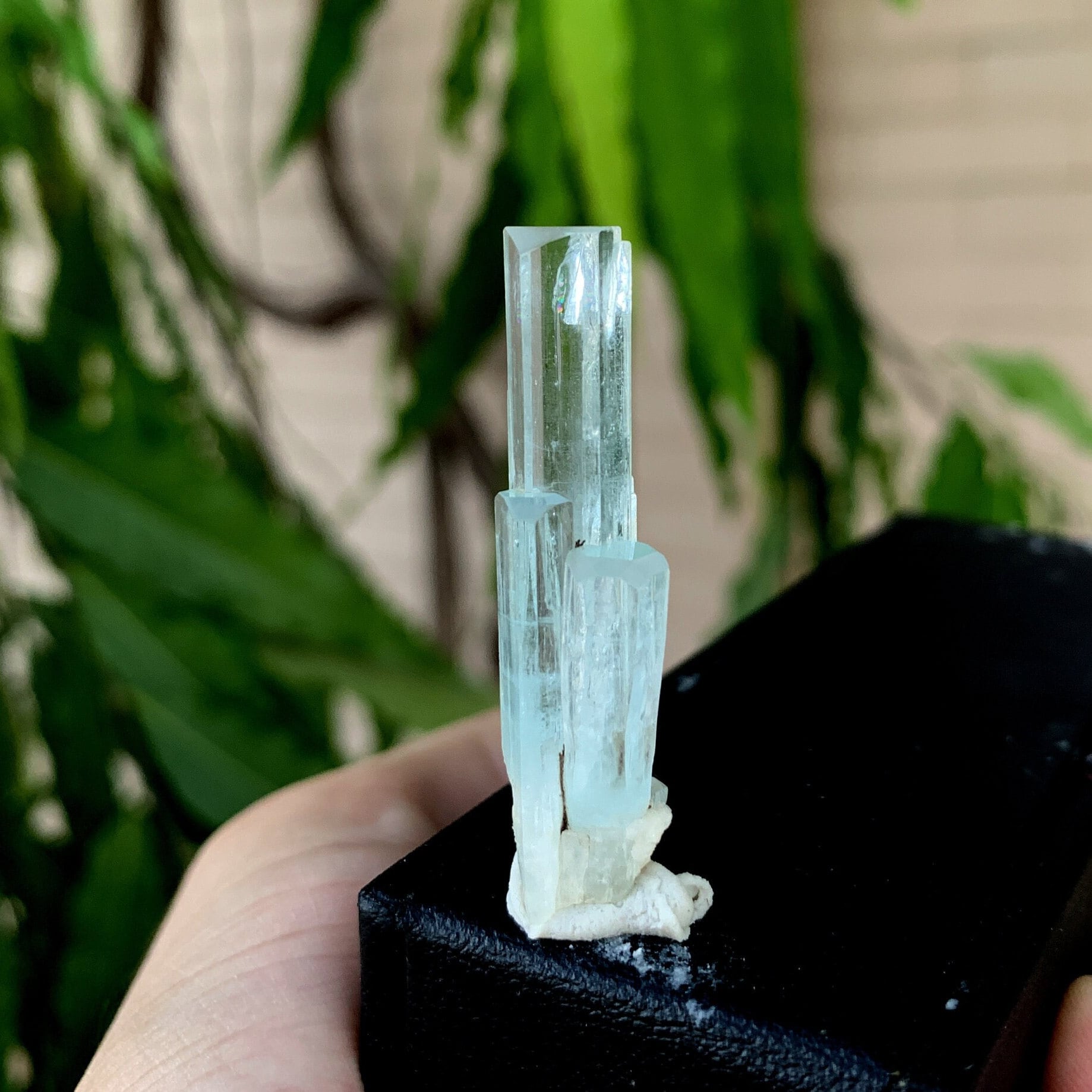 Never Seen Step Wise Terminated Transparent Sky Blue - Etsy