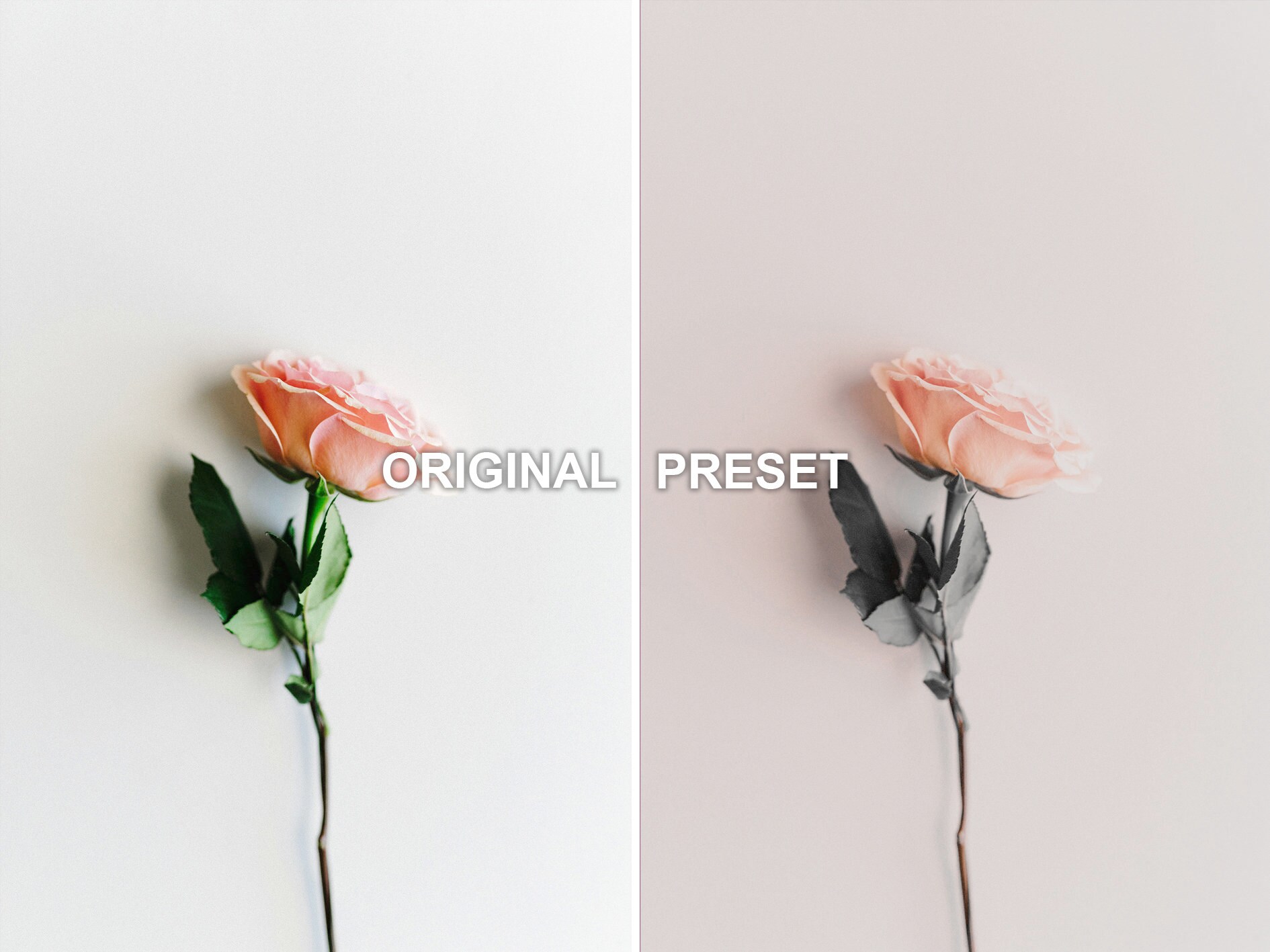 10 SOFT PEACH Aesthetic Peachy Presets - Etsy