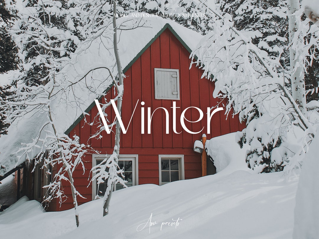 10 WINTER Cold Snow Aesthetic Lightroom Presets - Etsy