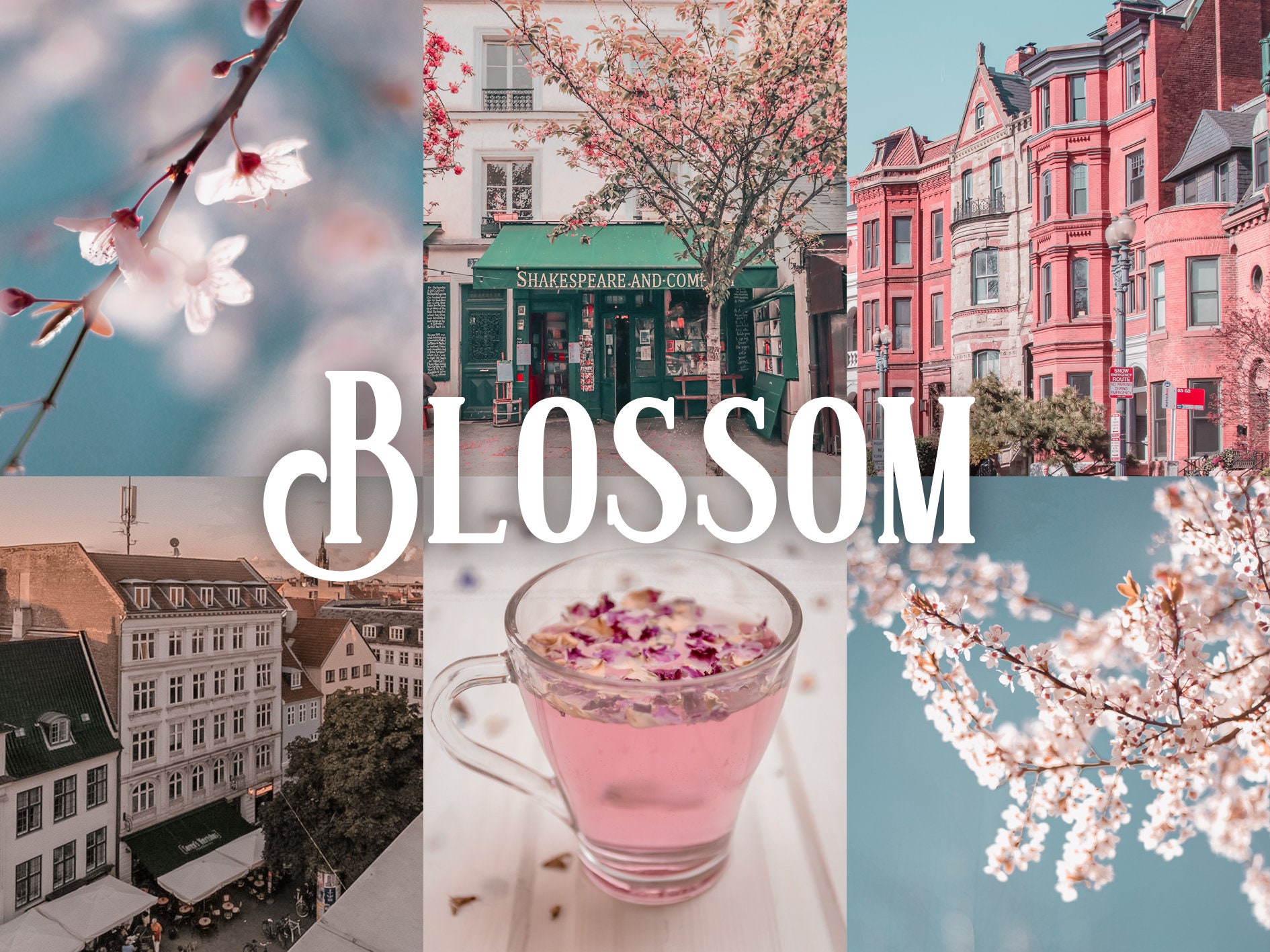 10 BLOSSOM Spring Pink Aesthetic LIGHTROOM Presets - Etsy