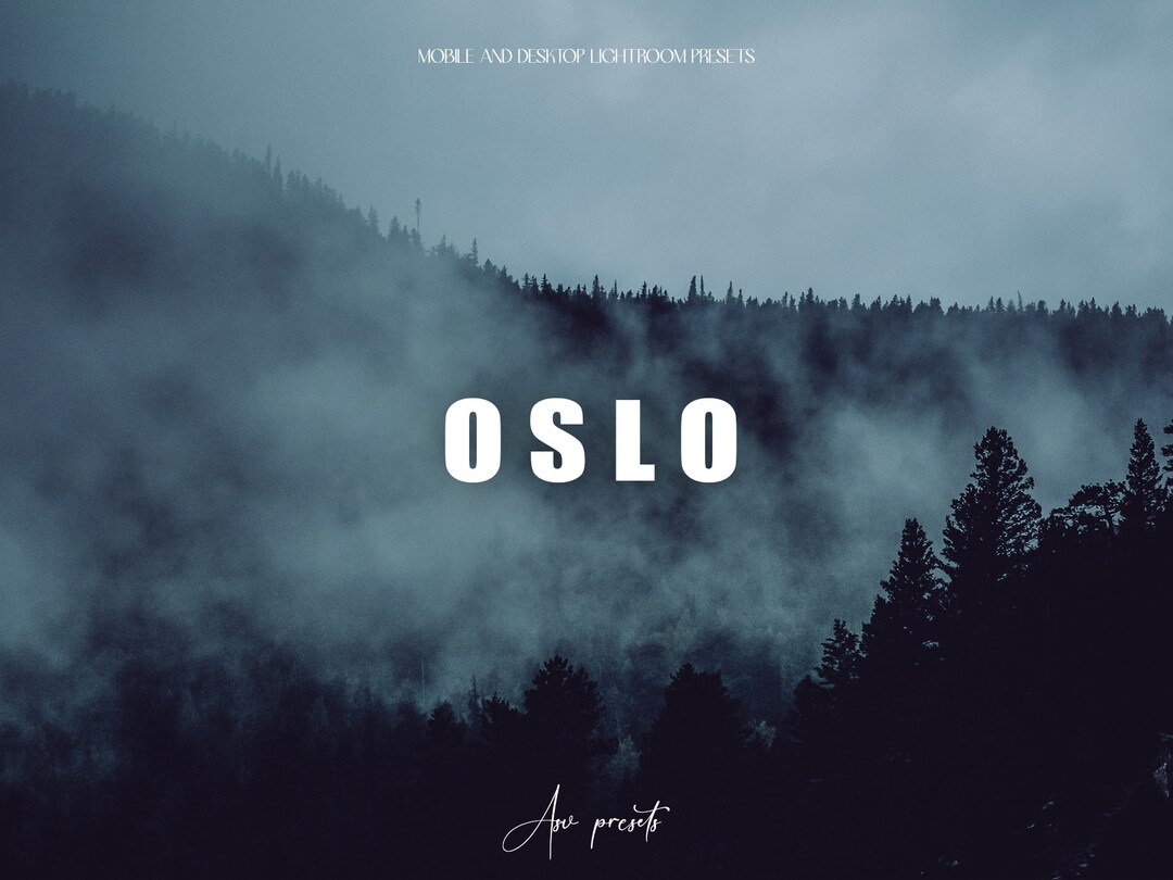 10 OSLO Dark Cold Gloomy Lightroom Presets - Etsy