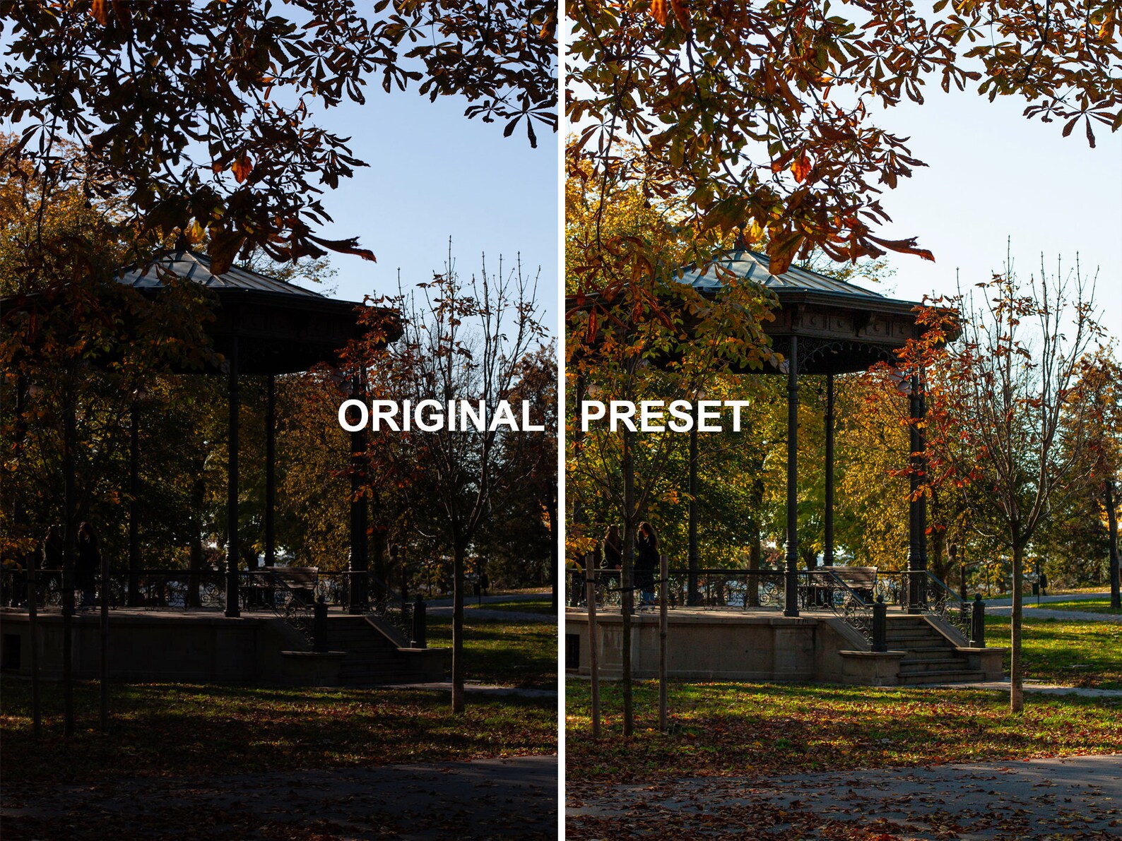 10 BASIC RAW Essential Raw Photography MOBIEL Lightroom Presets (tint ...