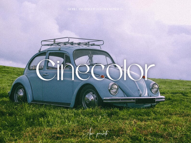 CINECOLOR Lightroom Presets | 10 Analog Film Looks (digital Download ...