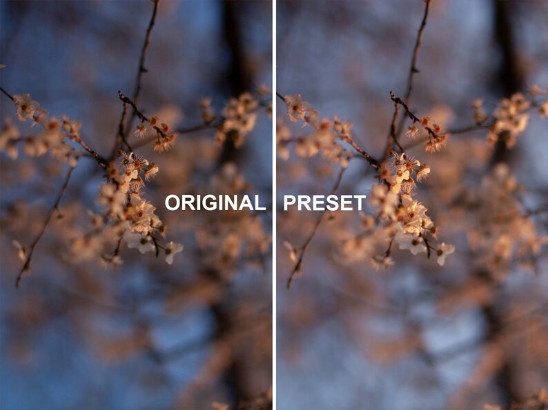 10 BASIC RAW Essential Raw Photography MOBIEL Lightroom Presets (tint ...