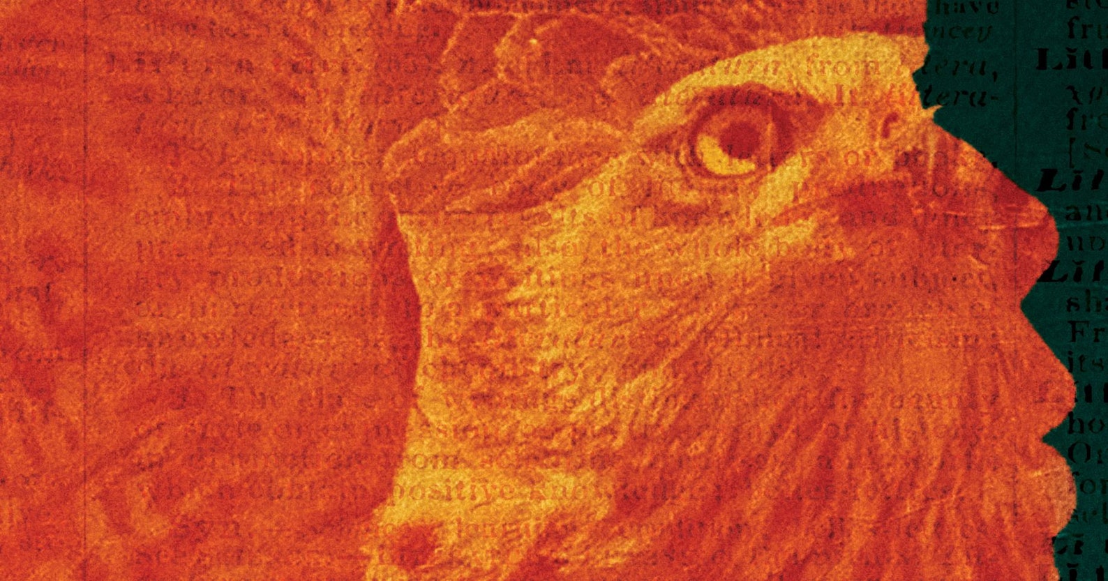 Demian by Hermann Hesse Printable Book Cover Literary - Etsy