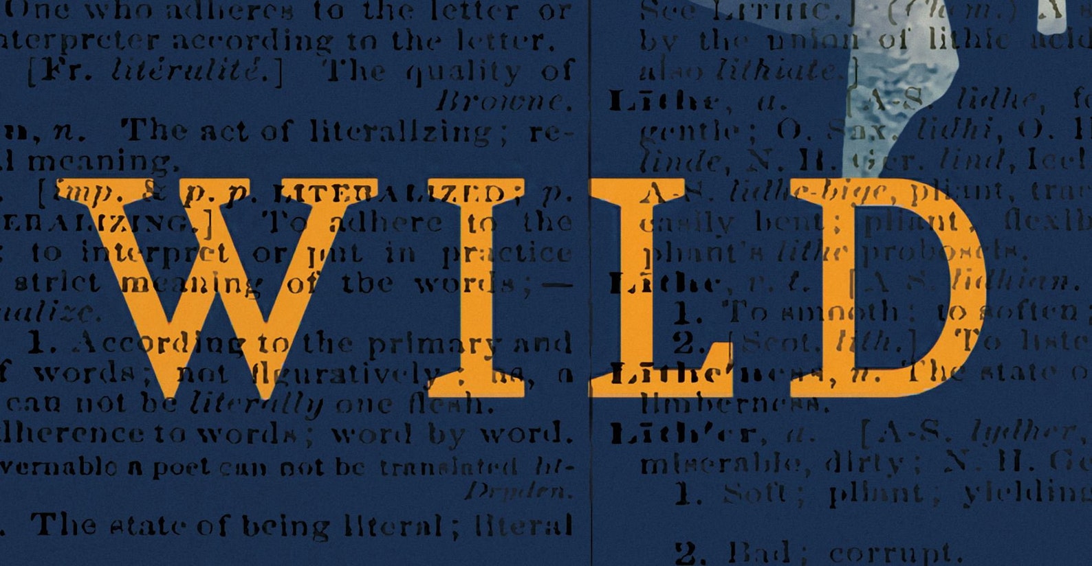 Wild Seed by Octavia E. Butler Printable Book Cover Literary - Etsy
