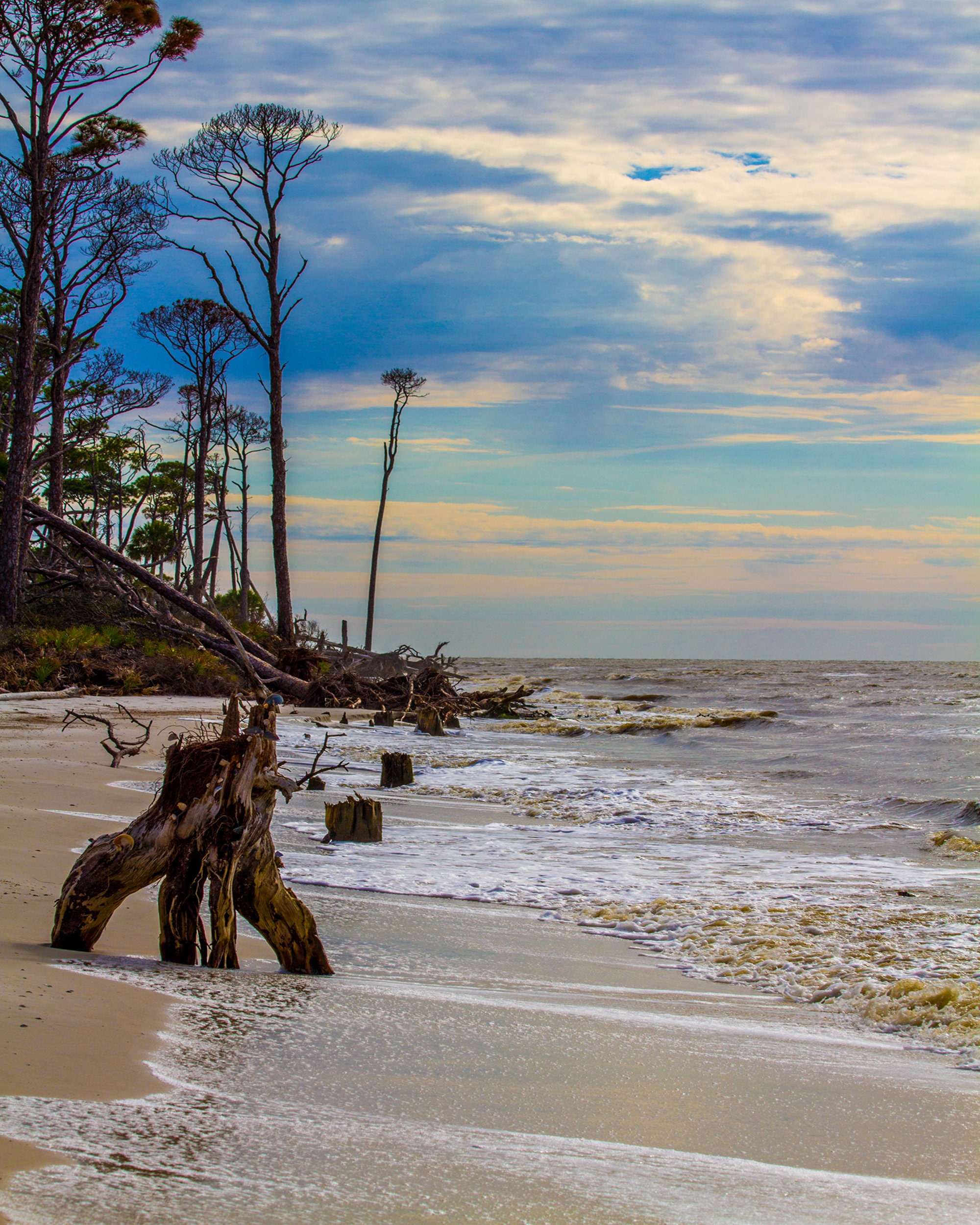 Cape San Blas, Florida Beach, Florida Print, Digital Download, Coastal ...
