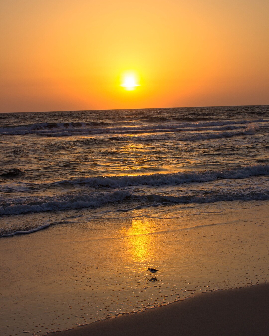 Cape San Blas Beach Sunset, Beach Photography, Digital Print, Florida ...