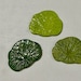 Detailed Ceramic Lily Pad 1 - Etsy
