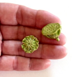 Charming Ceramic Pond Plants (white) - Etsy