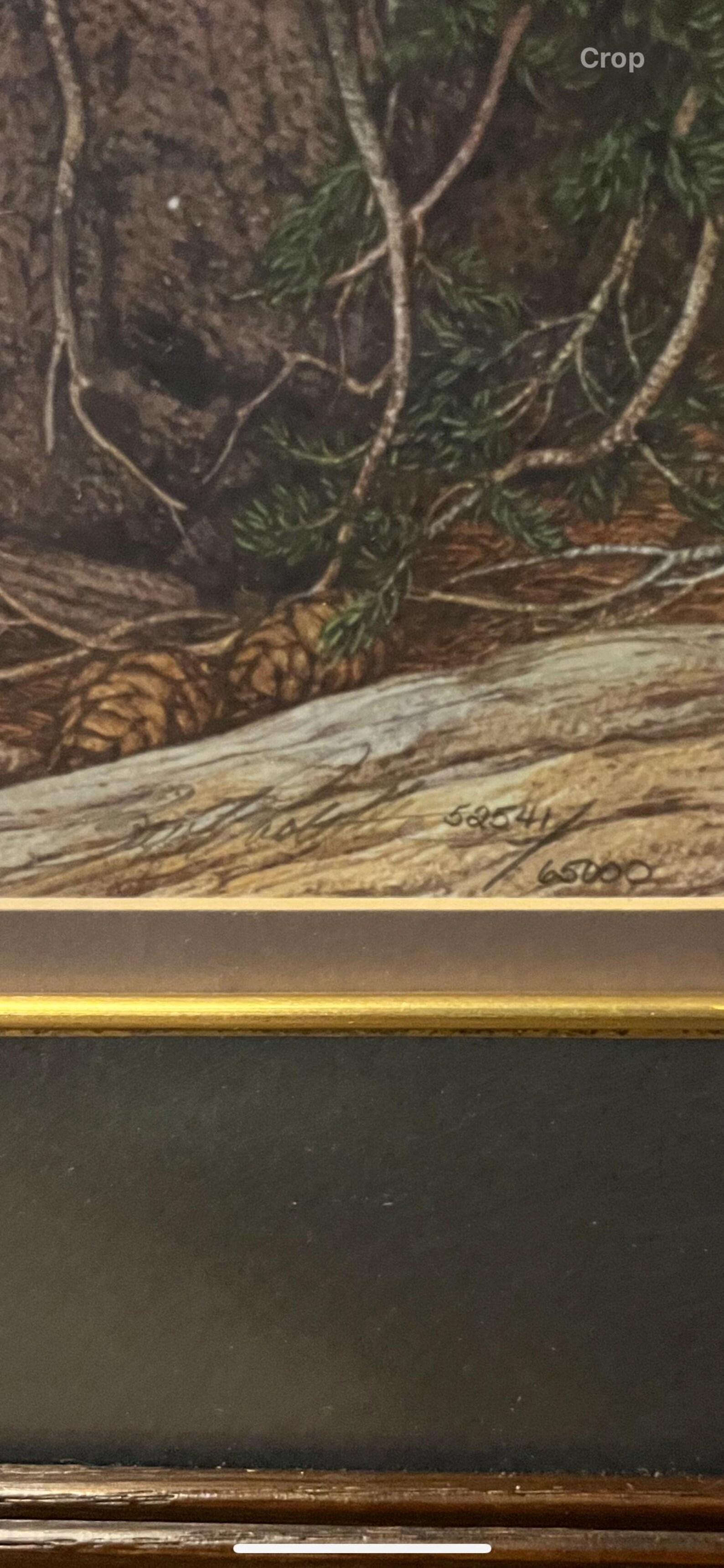 Bev Doolittle “prayer for the Wild Things” Limited Edition 1993, Hand ...