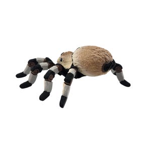 3D Printed Tarantula, Life-like Tarantula Model, Realistic Tarantula ...