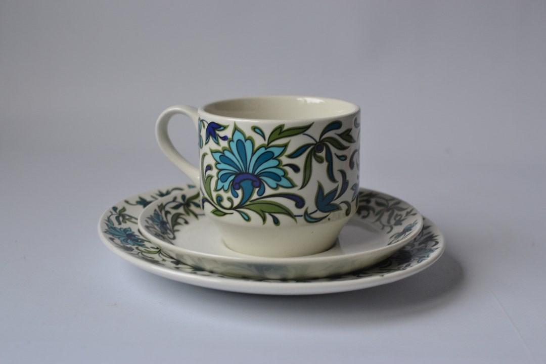 Midwinter Spanish Garden Cup Saucer and Plate Trio Design by - Etsy