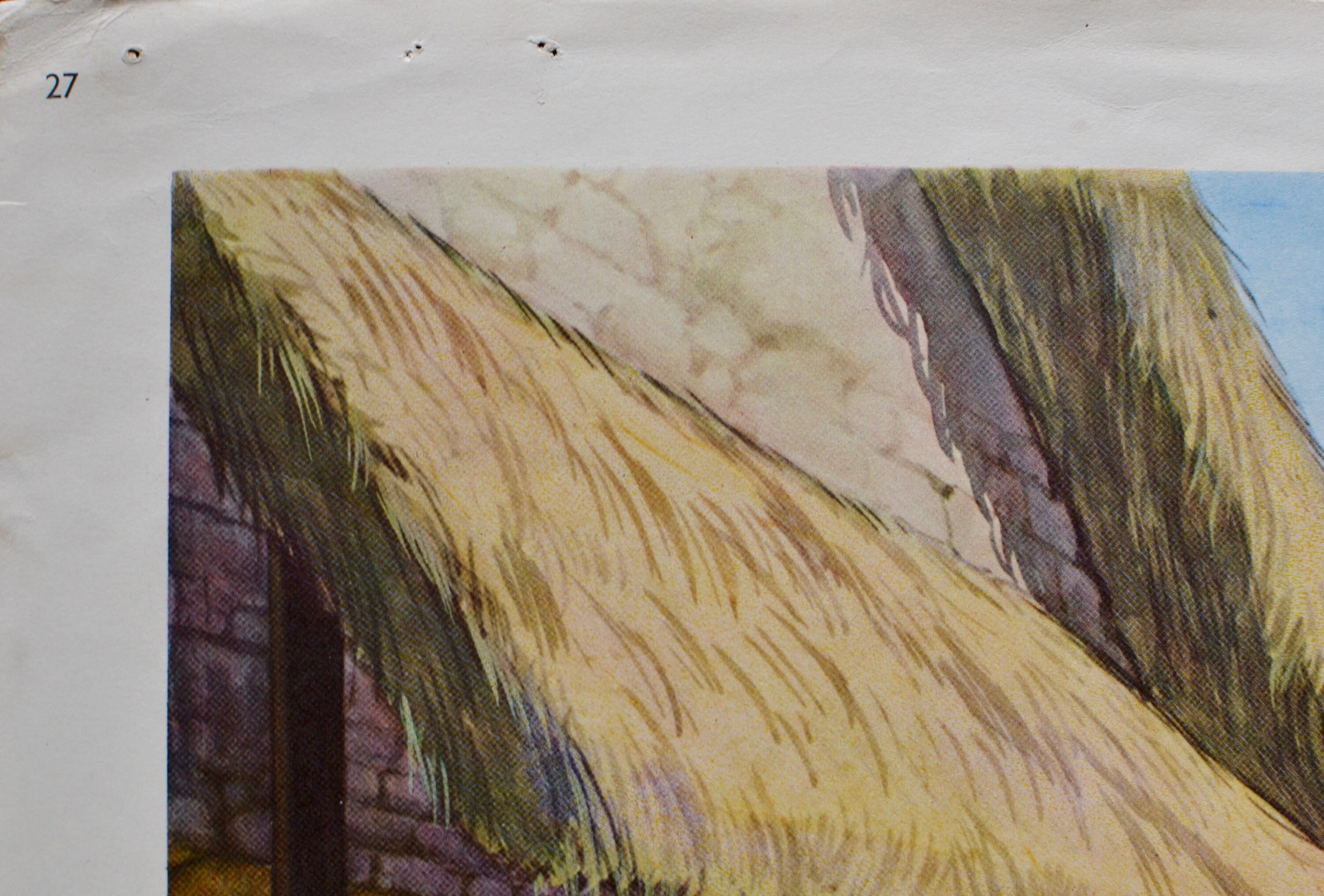 Vintage Macmillan History Lithograph Poster 14th Century - Etsy Israel